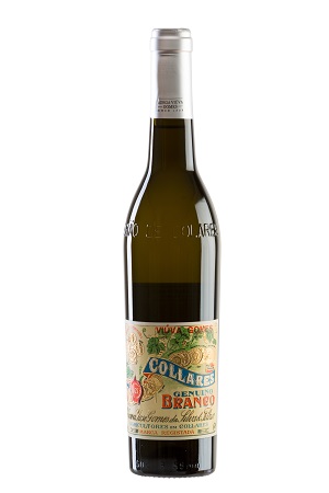 The salty wines of Colares | Portugal Premium Tours